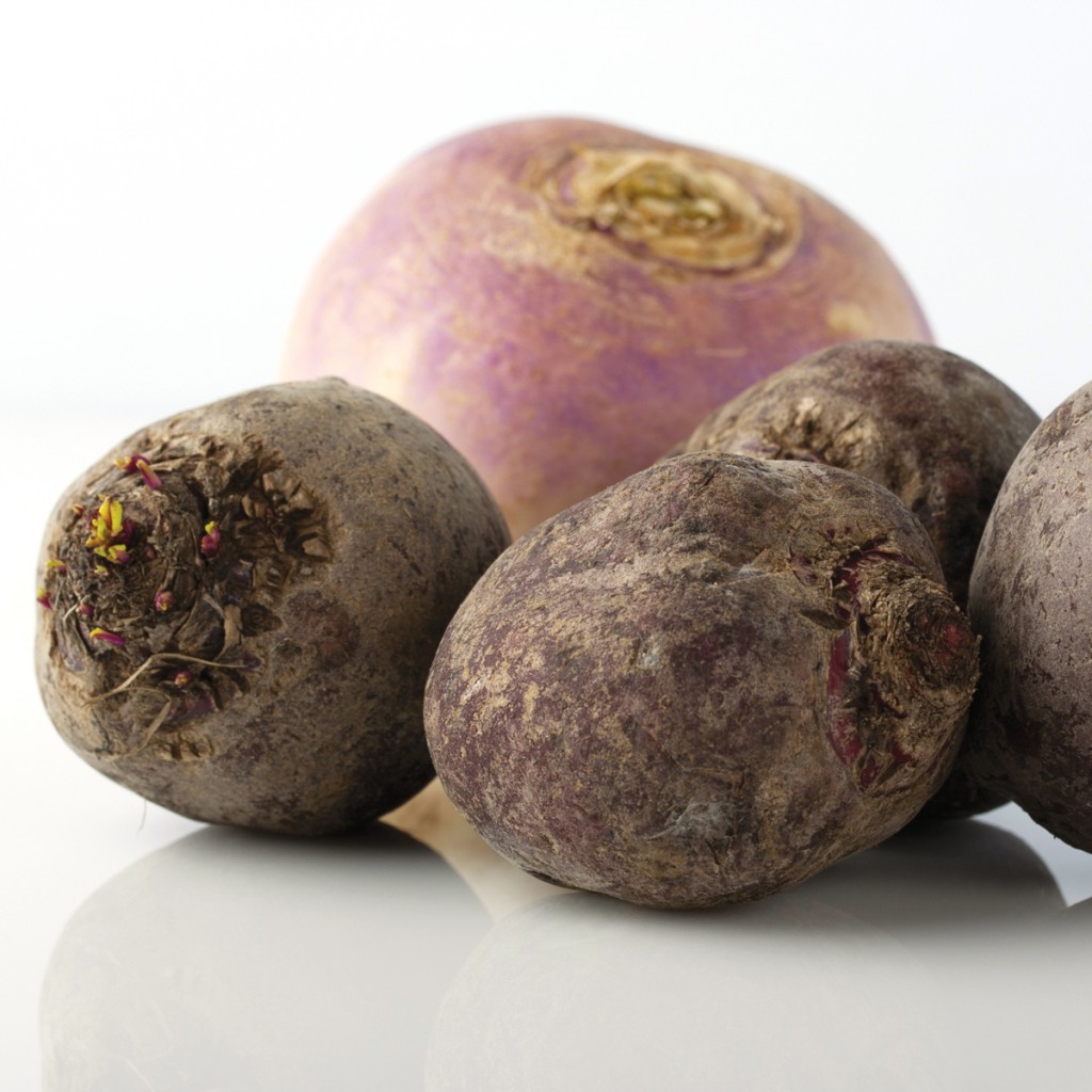 rabioles – La cuisine de Karine Moniqui